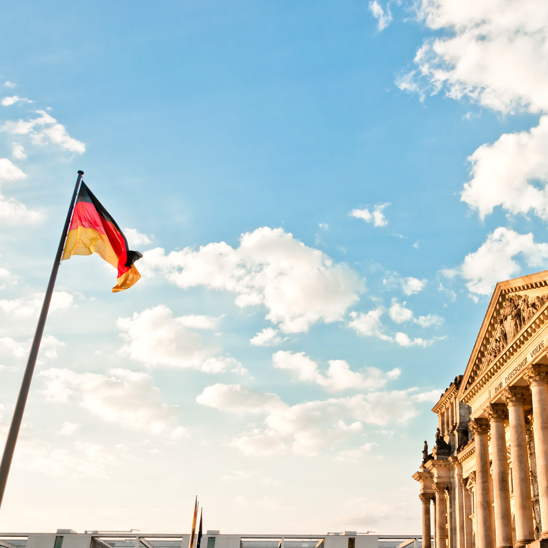 What are the most important issues for expatriates in Germany?